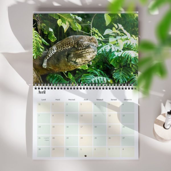 Papeterie • Boutique WWF France